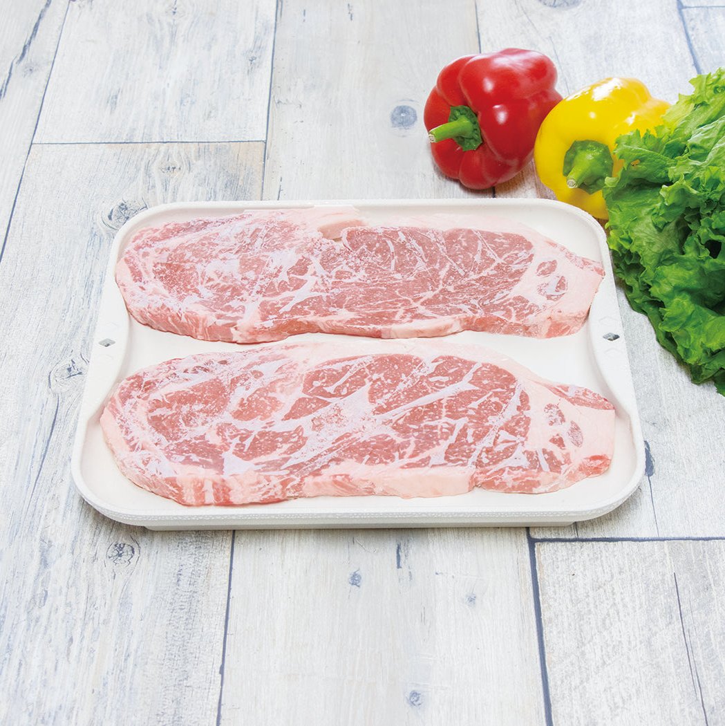 Defrosting plate – NDD JAPAN